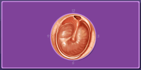 Normal GIF - Find on GIFER