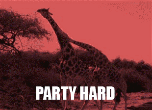 Cocktails GIF - Find on GIFER