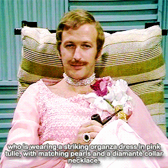 Monty python GIF - Find on GIFER