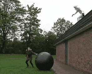 Bounce GIF - Find on GIFER