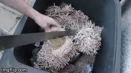 Band ball rubber GIF - Find on GIFER