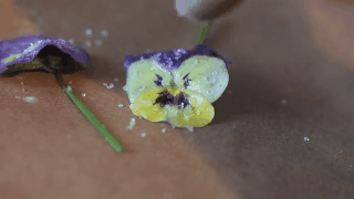 Violet GIF - Find on GIFER