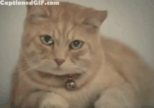 Days posting GIF - Find on GIFER