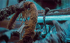 Pjo GIF - Find on GIFER