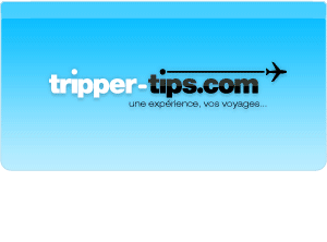 Tips GIF - Find on GIFER