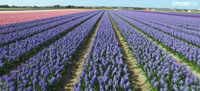 Endless GIF - Find on GIFER