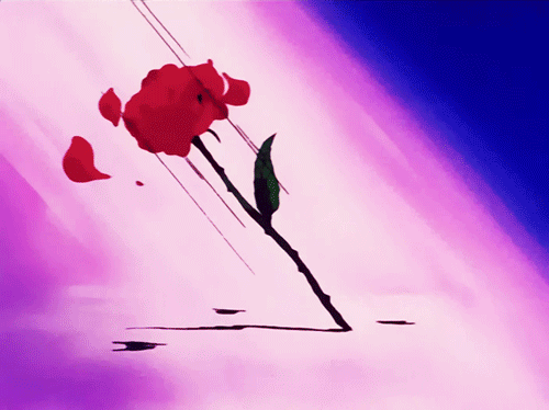 Tuxedo Mask Rose