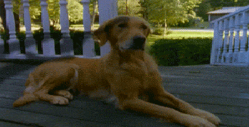 Goosebumps part series GIF - Find on GIFER