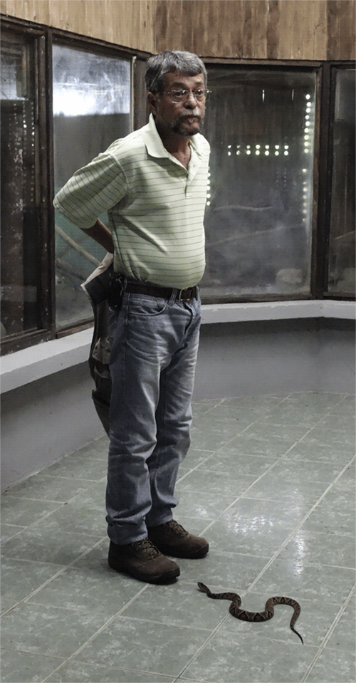 Fer GIF - Find on GIFER