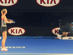 Sharapova sports tennis GIF - Find on GIFER