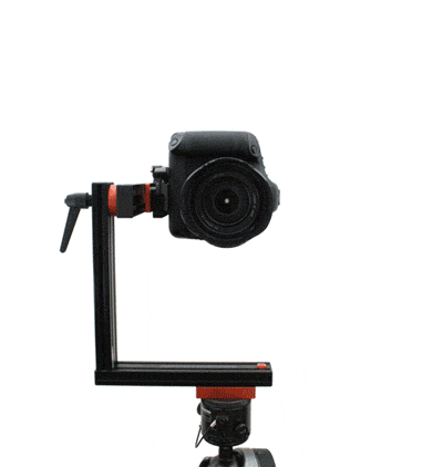 Standard GIF - Find on GIFER