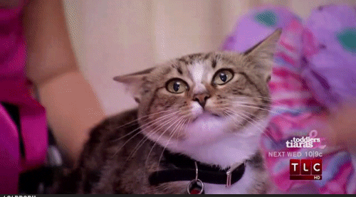 GIF kill me - animated GIF on GIFER