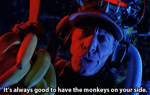 GIF sure - animated GIF on GIFER