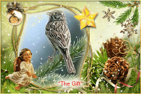 GIF ecology - animated GIF on GIFER