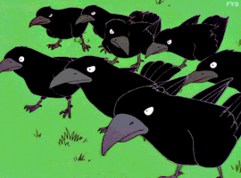 Crows GIF - Find on GIFER