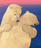 Bears GIF - Find on GIFER