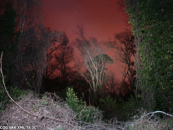 Awoken Destiny Female Hunter