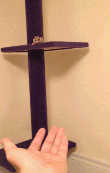 Me front page GIF - Find on GIFER