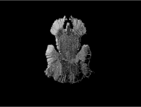 Rorschach GIF - Find on GIFER