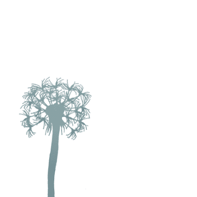 Dandelion GIF - Find on GIFER