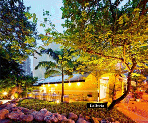 GIF italian - animated GIF on GIFER