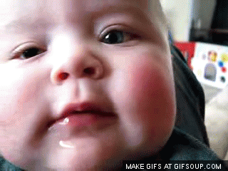 GIF raspberry - animated GIF on GIFER