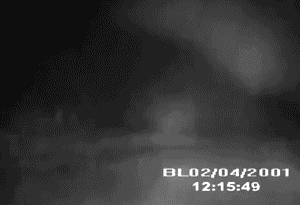 GIF paranormal activity - animated GIF on GIFER