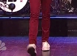 Pigeon GIF - Find on GIFER