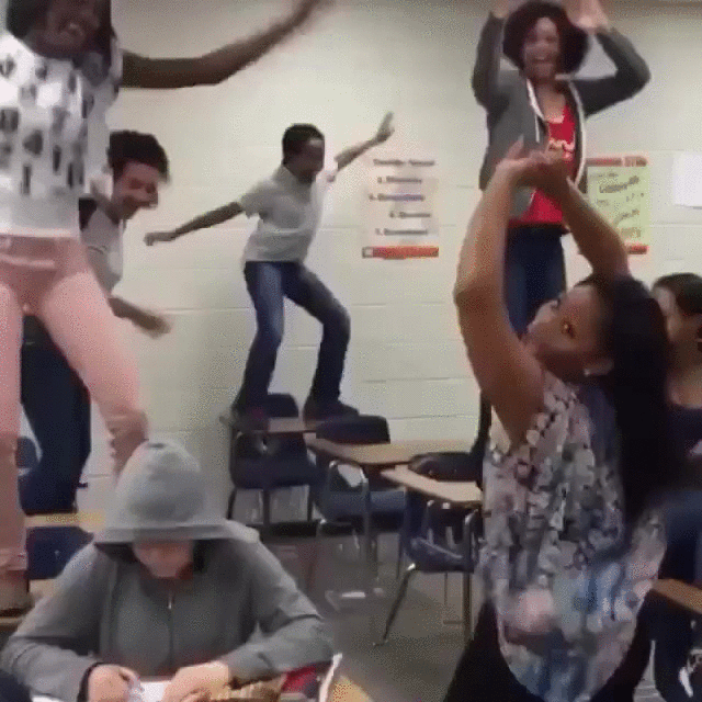 Flying Carrier Pigeon Gif - meandastranger