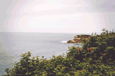 Vision GIF - Find on GIFER