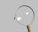 Entomology GIF - Find on GIFER