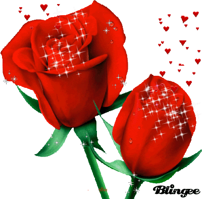 Follower GIF - Find on GIFER