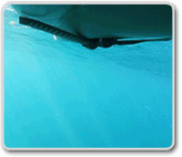 Sup GIF - Find on GIFER