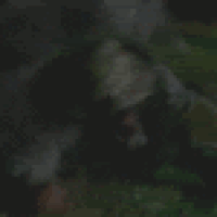 Place GIF - Find on GIFER