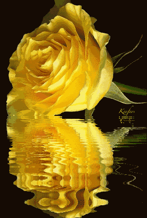 Yellow GIF - Find on GIFER