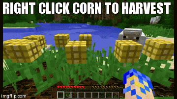 Corn GIF - Find on GIFER
