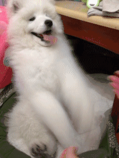 Mental health GIF - Find on GIFER