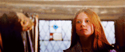 GIF ginny weasley - animated GIF on GIFER