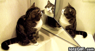 Mirror GIF - Find on GIFER
