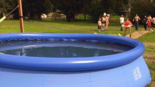 Jackass GIF - Find on GIFER