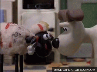 Wallace GIF - Find on GIFER