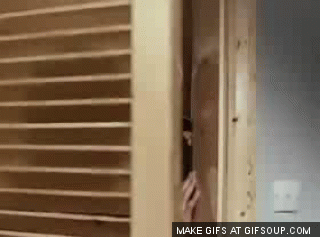 Closet GIF - Find on GIFER