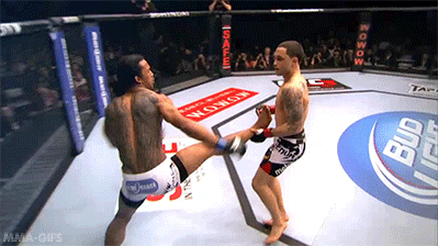 The fighter GIF - Find on GIFER
