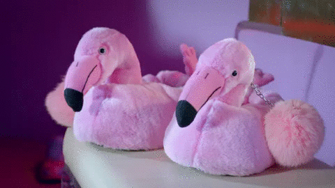 Sprinkle GIF - Find on GIFER