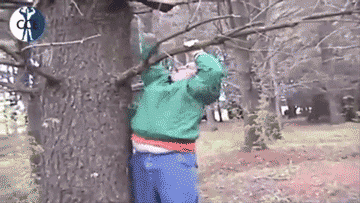 GIF kids - animated GIF on GIFER