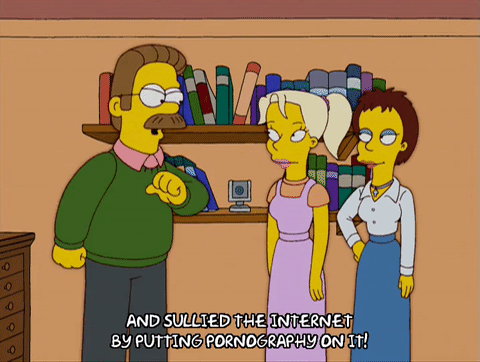 Episode 20 season 16 ned flanders GIF - Find on GIFER