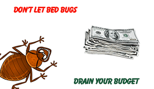 GIF bugs - animated GIF on GIFER