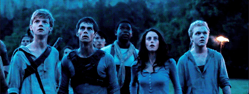 The maze runner maze runner tmr GIF - Find on GIFER