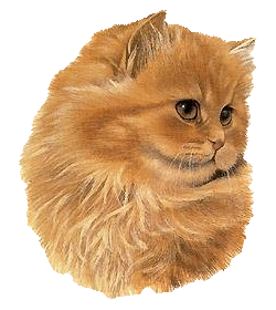 Animals cat transparent GIF on GIFER - by Manaswyn