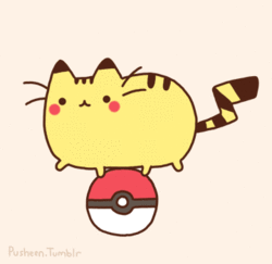 Pusheen pokemon pikachu GIF - Find on GIFER